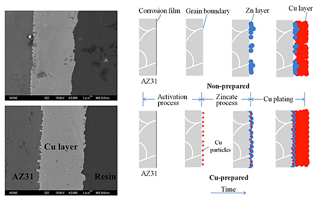 02.Effect of copper pretreatment on the zincate process and subsequent ...