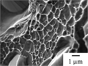 14.Effect of High-Temperature Solutionizing on Microstructure and Tear ...