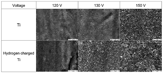 60.Preparation and Characterization of Microporous Layers on Titanium ...