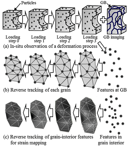 34.Grain boundary tracking technique: four-dimensional visualisation ...