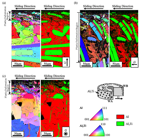 64.3-Dimensional Microstructural Evaluation of Wear-Induced Layer in Al ...