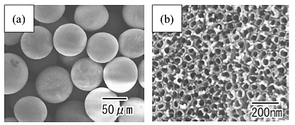 66. TiO2 hollow spheres with nanoporous structures fabricated by ...